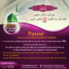 Introducing: Revive A Sunnah – Understand Al Quran Academy